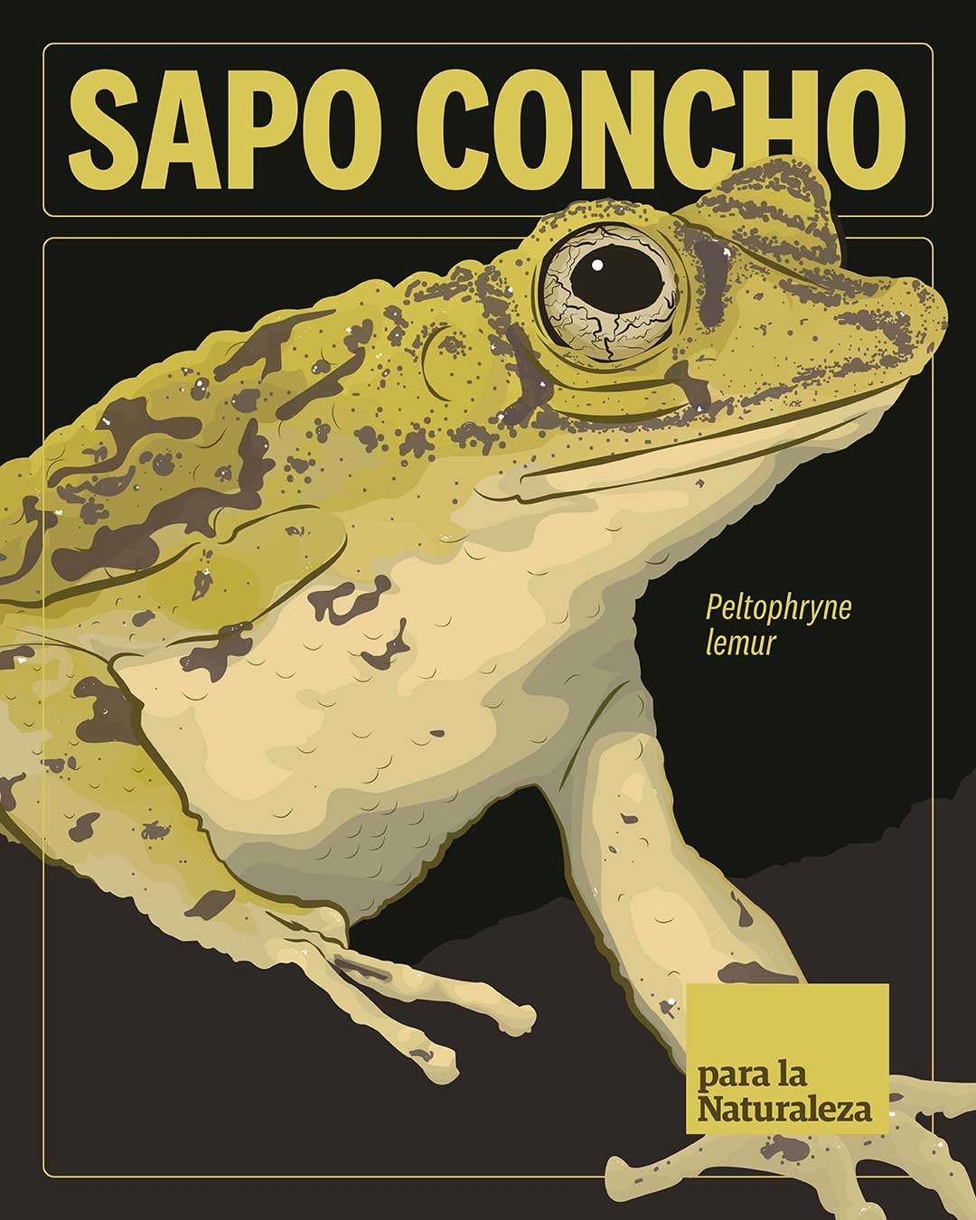 Sapo Concho - Biofact 1