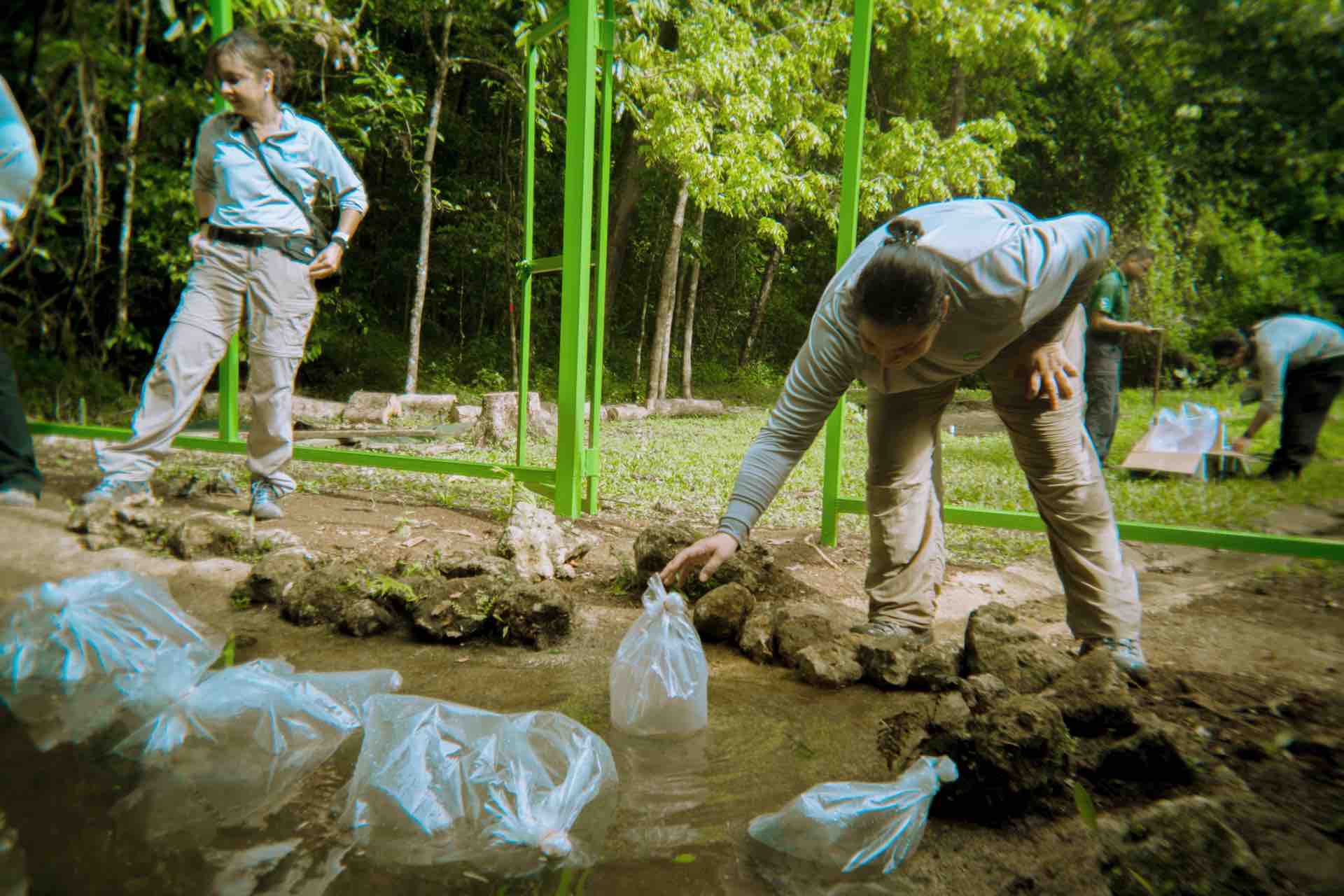 Sapo Concho - Liberación 3